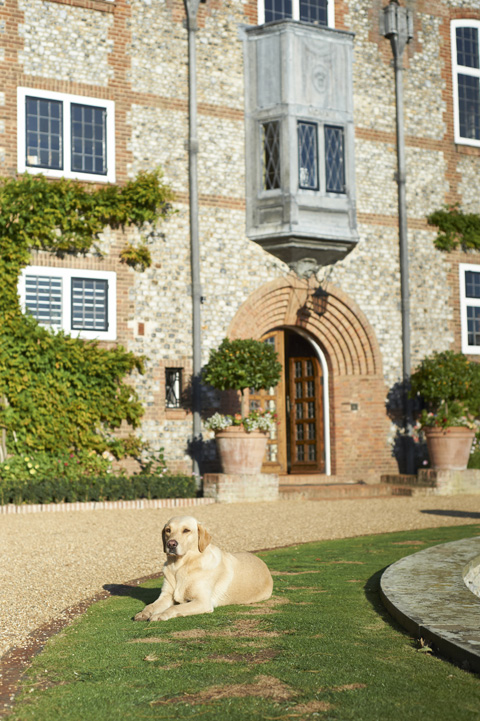 Partridge shooting at Kelling Hall, Norfolk - Shooting UK