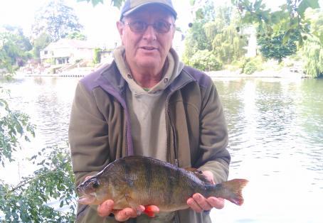 4lb perch | Angler's Mail