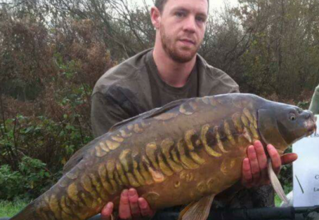 Linear mirror carp pictures | Browse, Like & Share Linear mirror carp ...